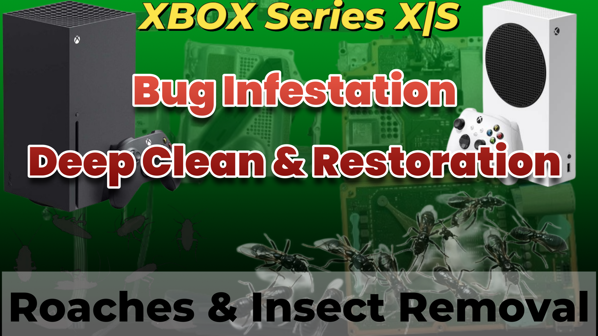 XBOX Series X|S Bug Infestation - Deep Clean & Restoration Service ...